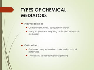 Acute Inflammation (2).ppt pathology subject | PPT