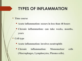 Acute Inflammation (2).ppt pathology subject | PPT