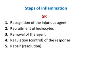 Acute inflammation BSc Nursing pdf.thejj | PDF | Blood Disorders ...