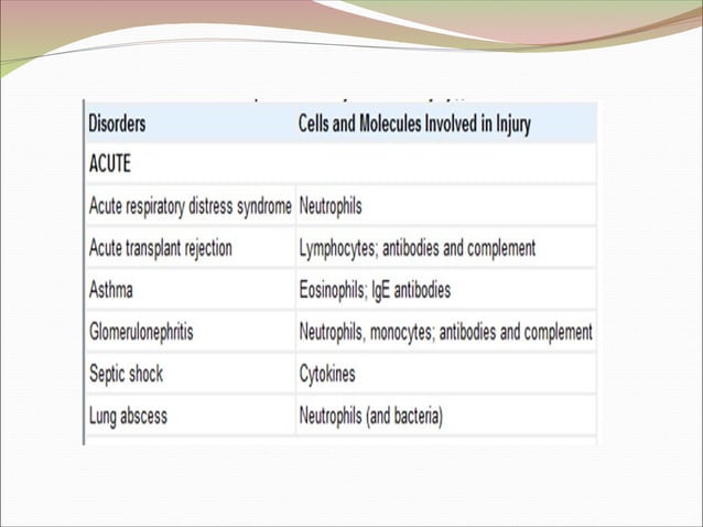 acute inflammation,cell derived and plasma protein derived mediators ...