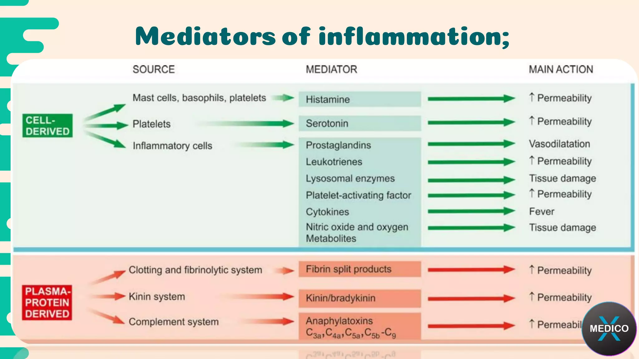 Acute inflammation - Pathology #X_patho | PDF