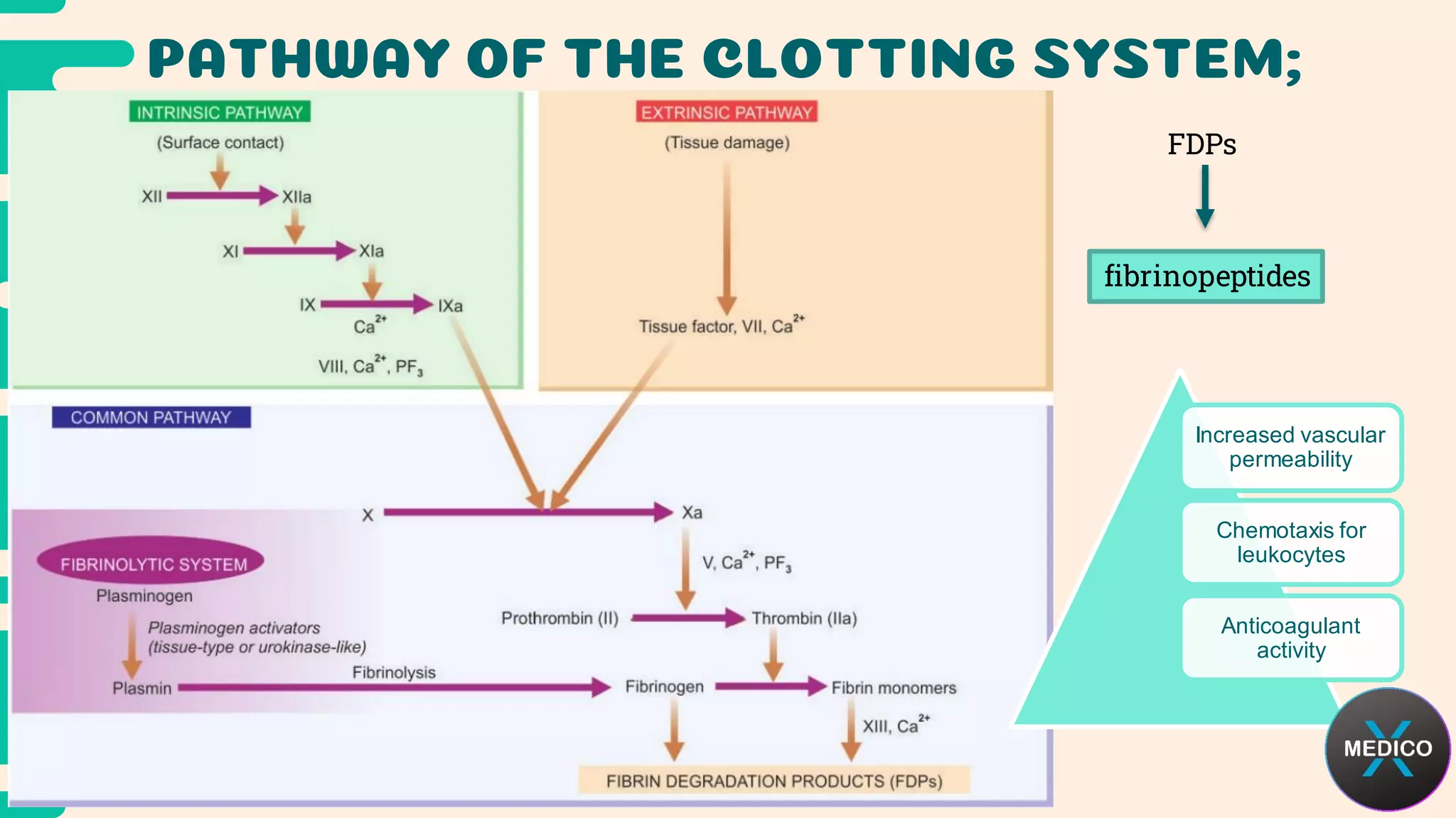 Acute inflammation - Pathology #X_patho | PDF