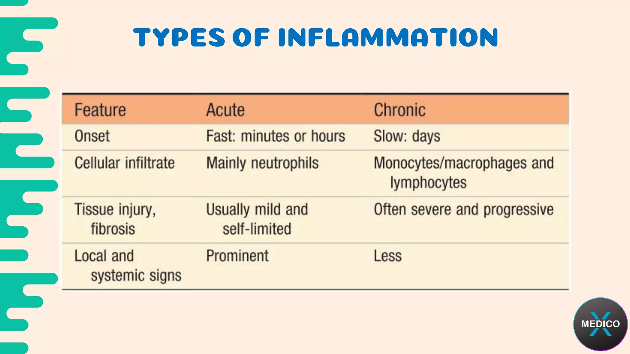 Acute inflammation - Pathology #X_patho | PDF