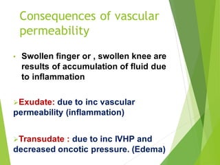 ACUTE INFLAMMATION Slides Pathology. pdf | PPT
