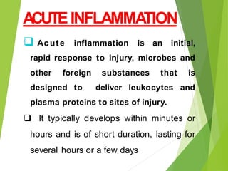 ACUTE INFLAMMATION Slides Pathology. pdf | PDF