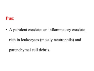 Acute inflammation optimetery lect 2 | PPT