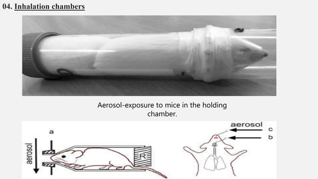 Acute inhalational toxicity studies.pptx
