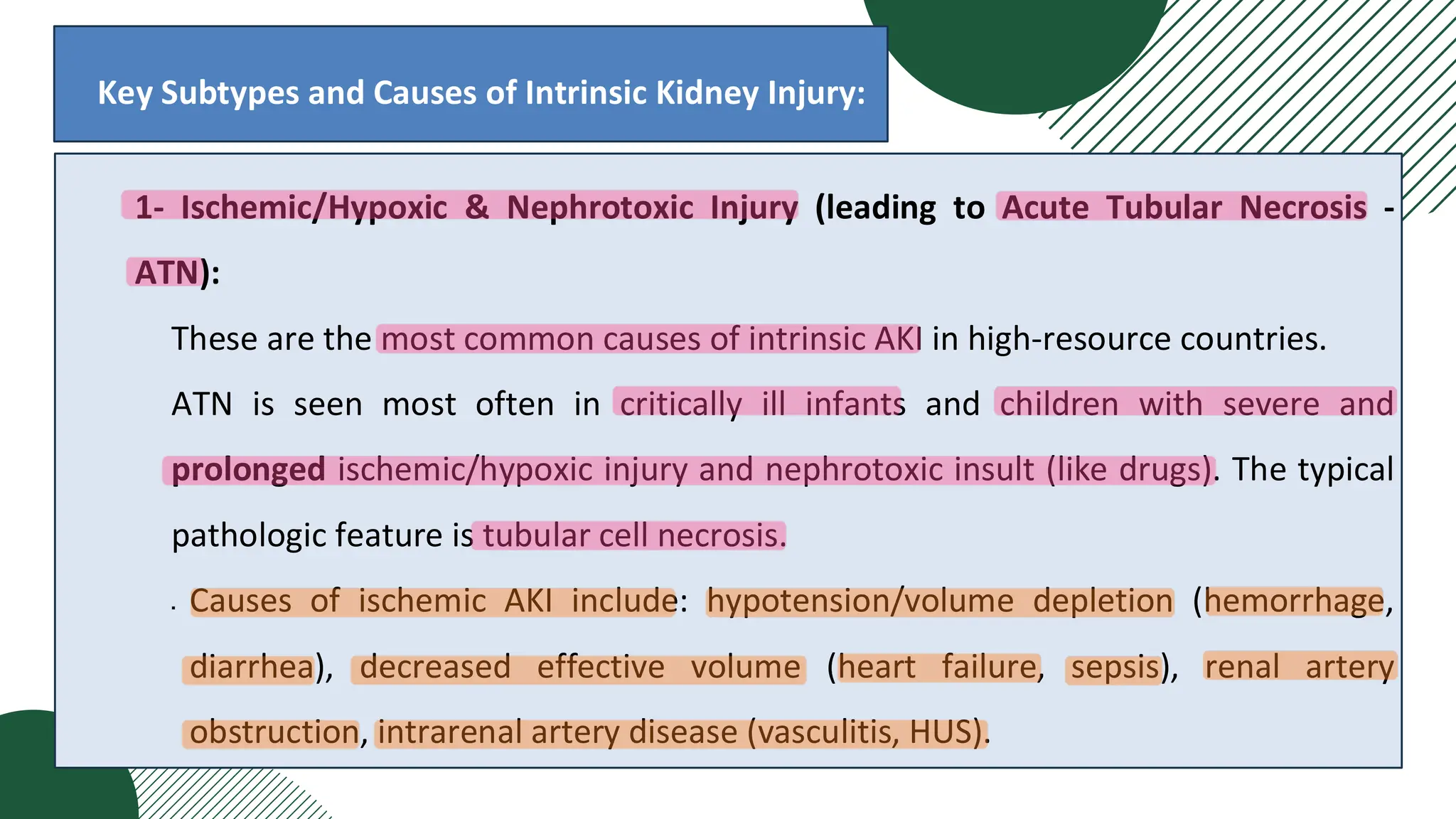 Acute kidney injuries pediatric age .pdf