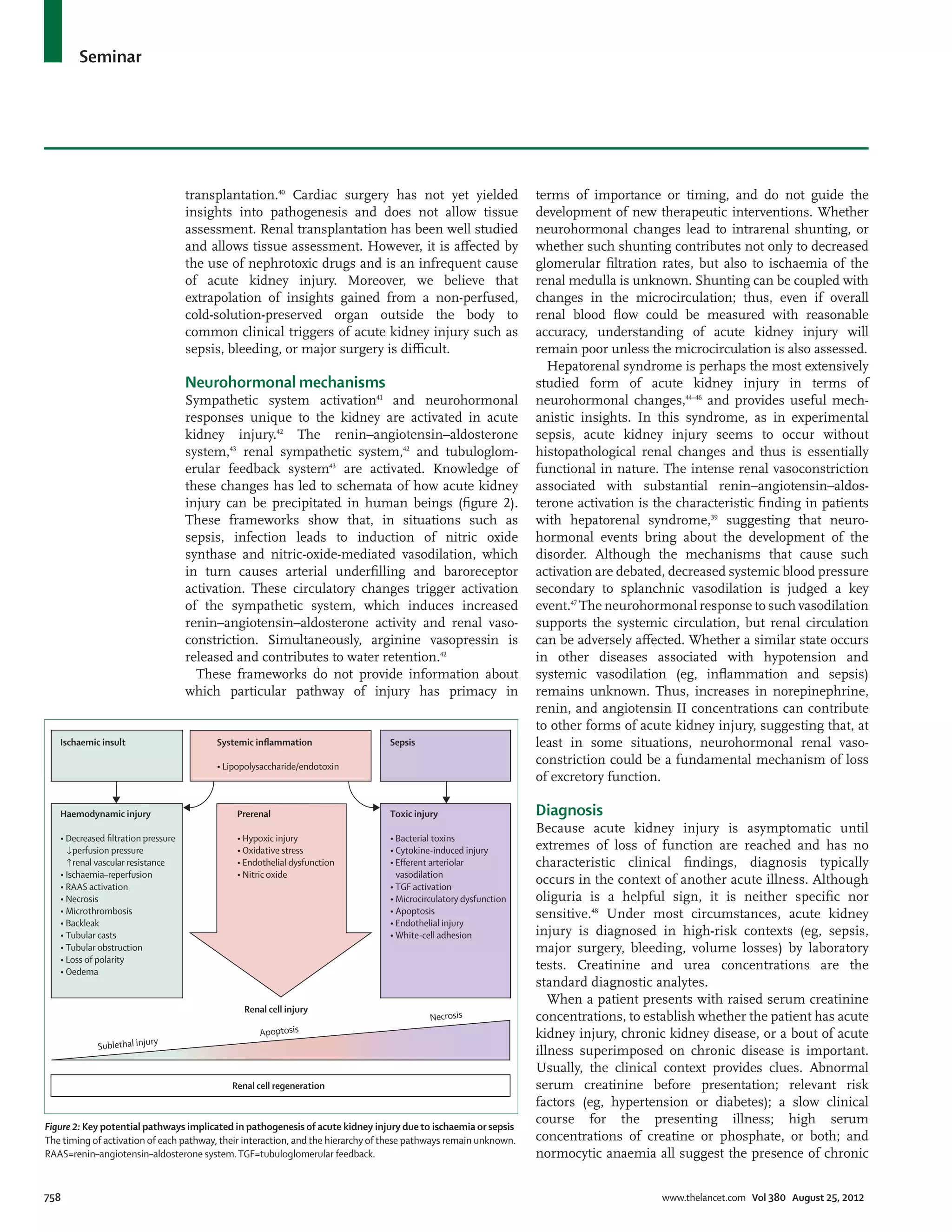 Acute Kidney Injury Lancet seminar | PDF