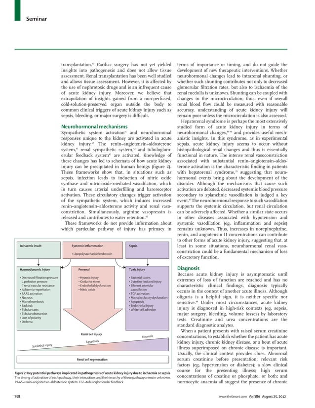 Acute Kidney Injury Lancet seminar | PDF