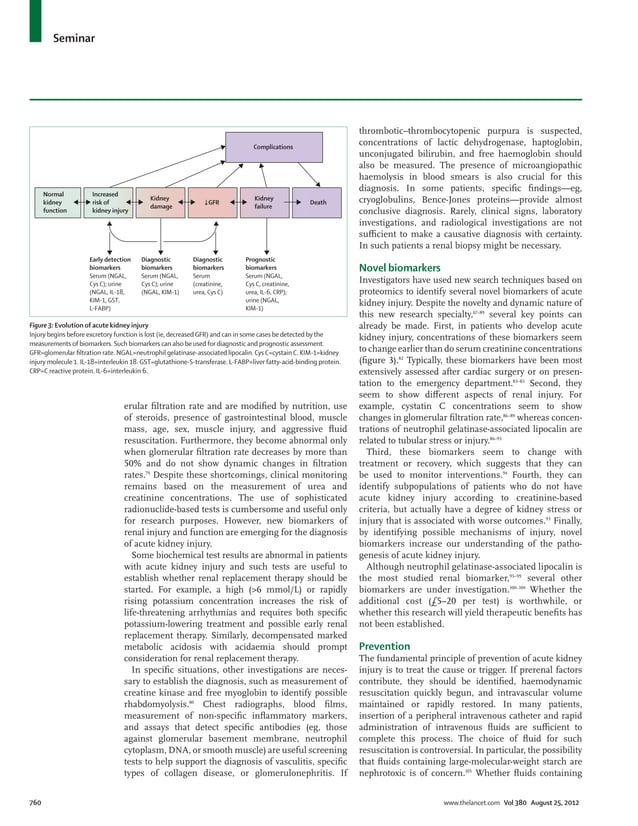 Acute Kidney Injury Lancet seminar | PDF