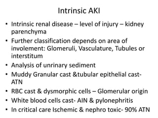 Acute kidney injury | PPT
