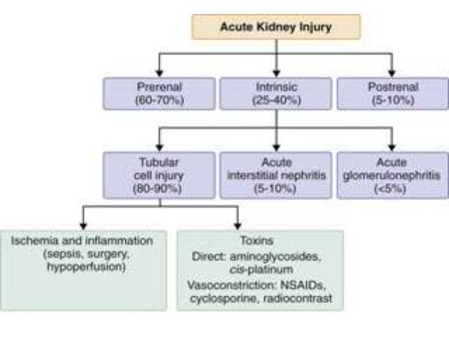 Acute kidney injury