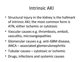 Acute kidney injury | PPT