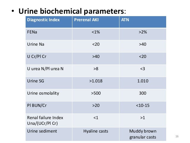 Acute kidney injury