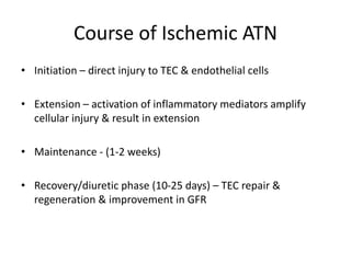 Acute kidney injury | PPT
