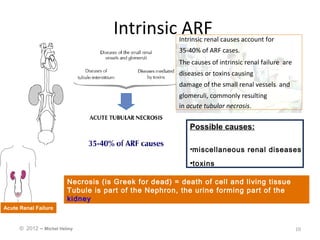 Acute kidney injury | PPT