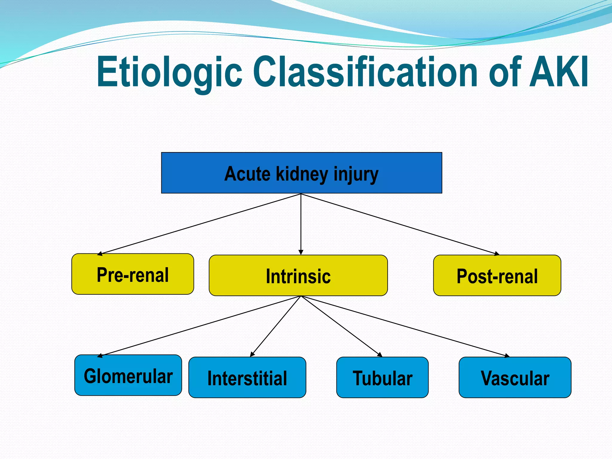 Acute kidney injury | PPTX