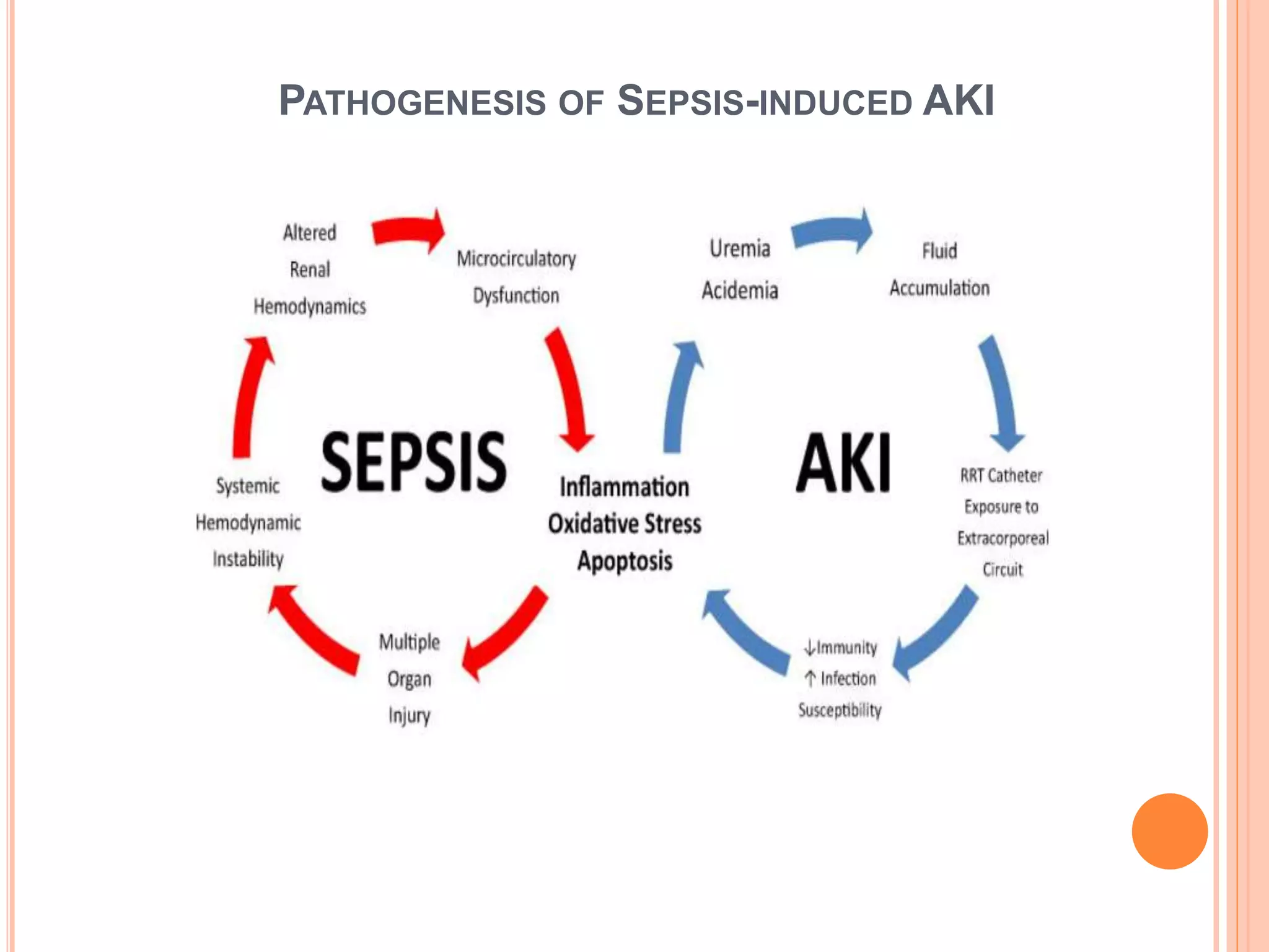 Acute kidney injury | PPTX