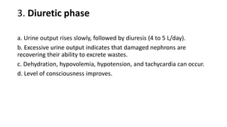 Acute kidney injury | PPTX