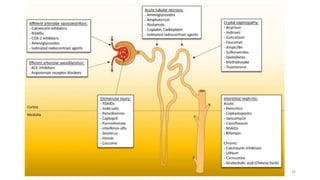 Acute kidney injury.pptx