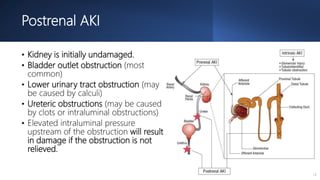 Acute kidney injury.pptx