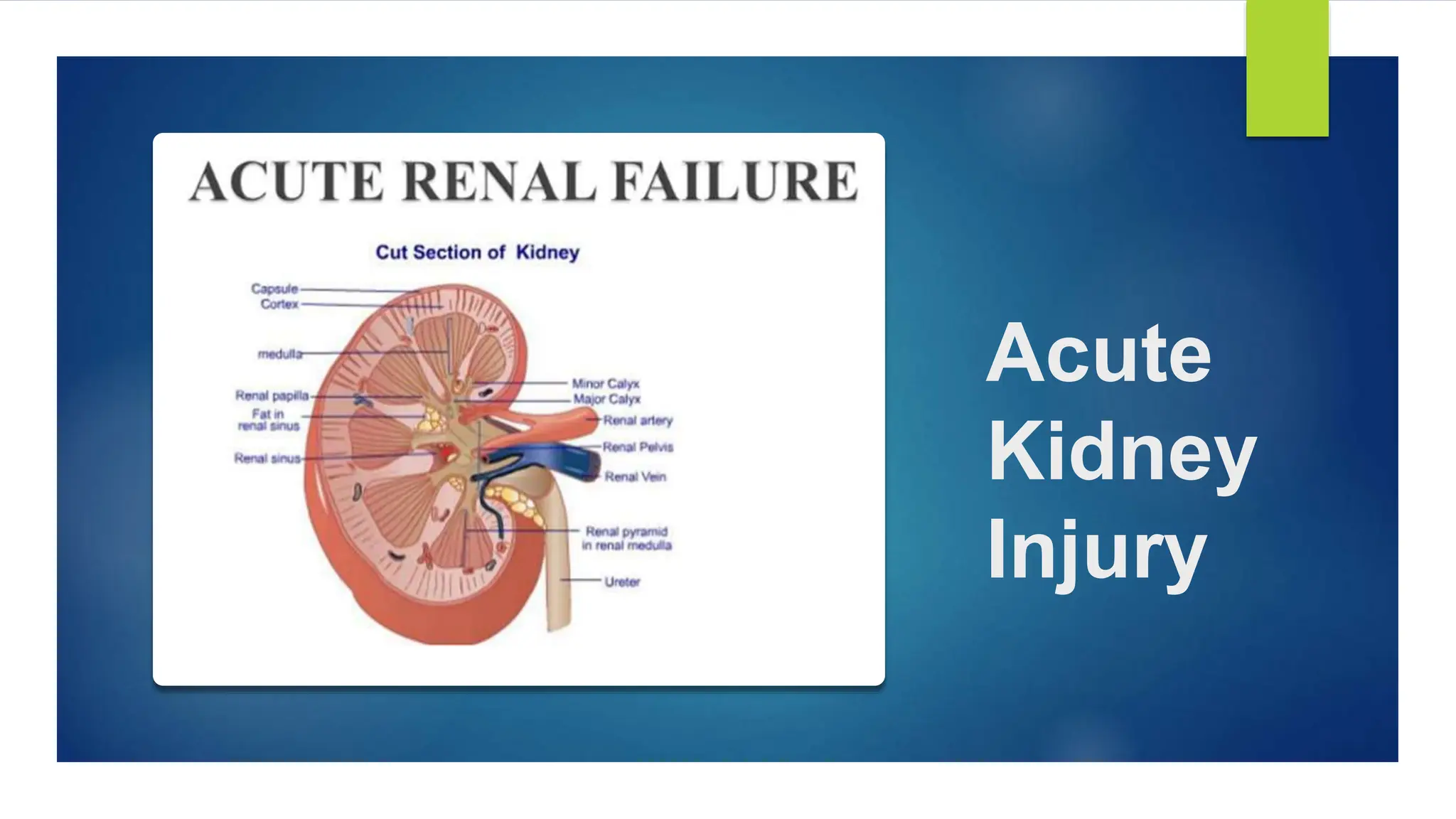 Acute Kidney Injury.pptx