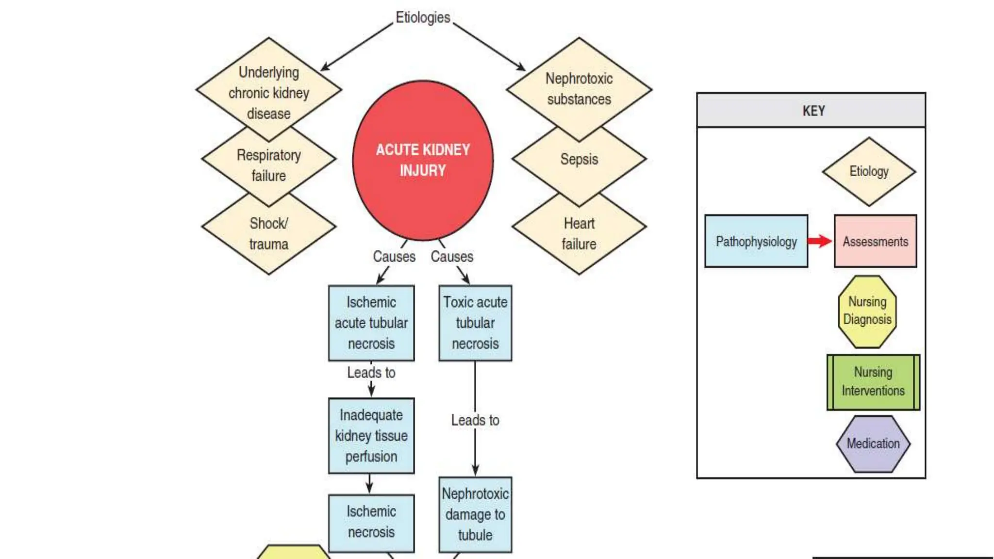 Acute Kidney Injury.pptx