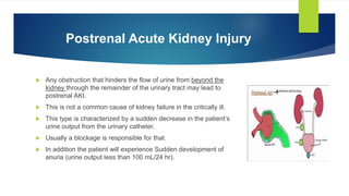 Acute Kidney Injury.pptx