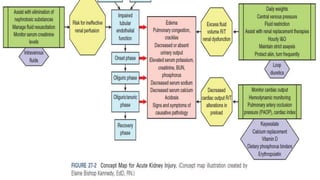 Acute Kidney Injury.pptx
