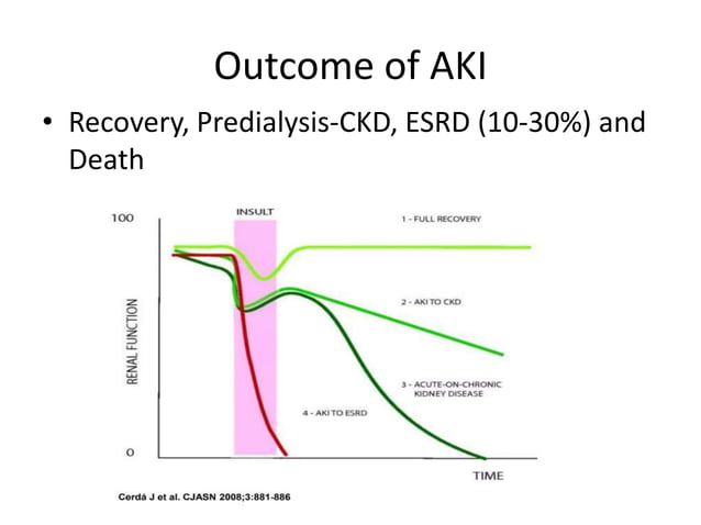aki acute kidney injury causes pathogenesis clinical features and ...