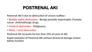 Acute Kidney Injury powerpoint nephrology | PPTX