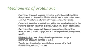 Acute Kidney Injury powerpoint nephrology | PPTX