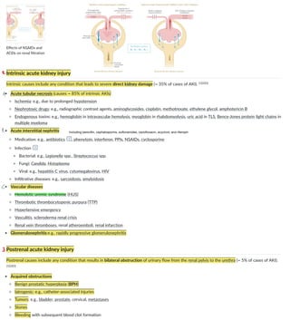 Acute kidney injury ( ACI) - AMBOSS.pdf