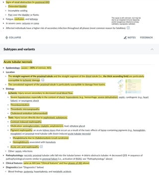 Acute kidney injury ( ACI) - AMBOSS.pdf