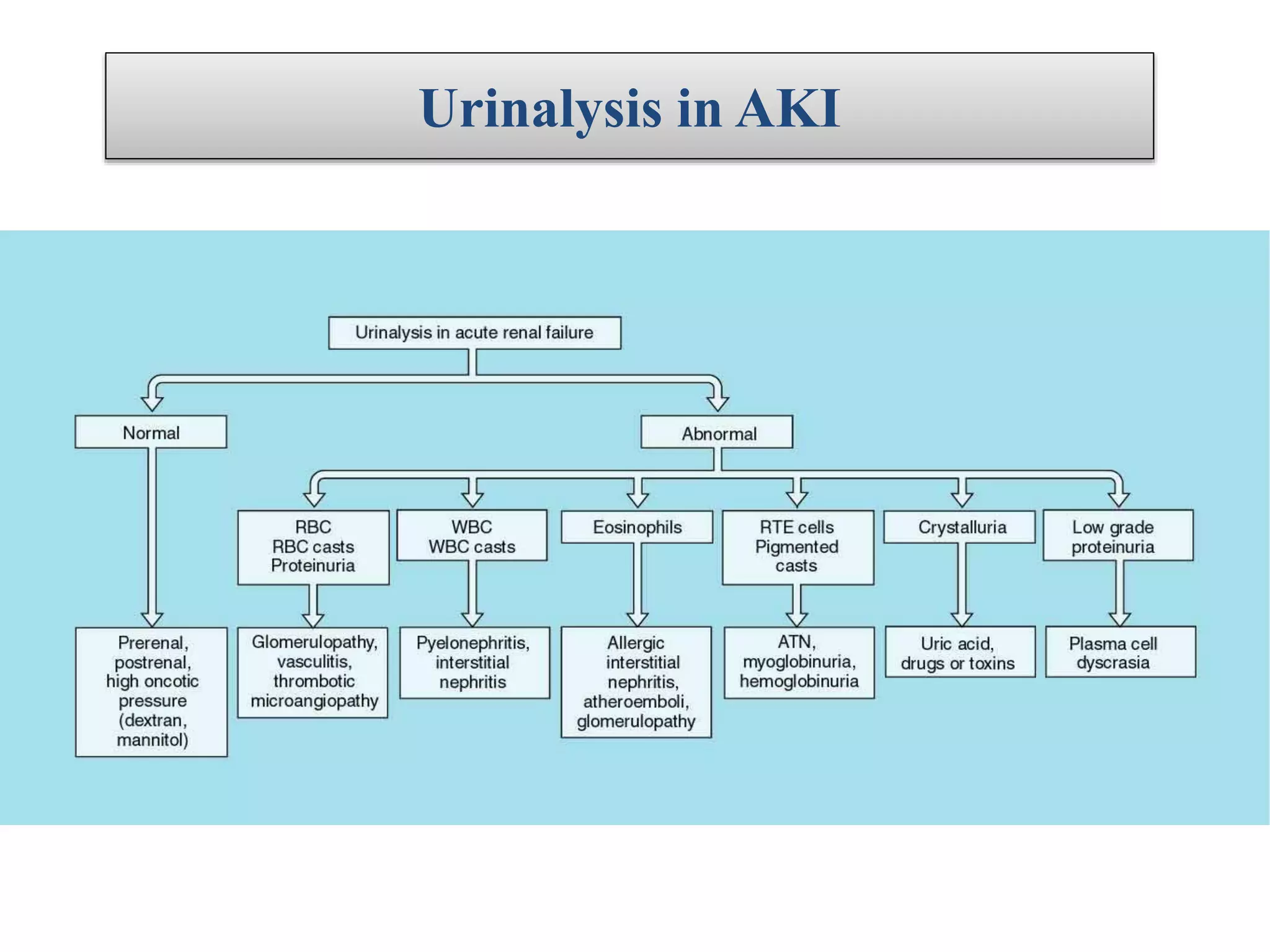 Acute kidney injury (aki) | PPTX