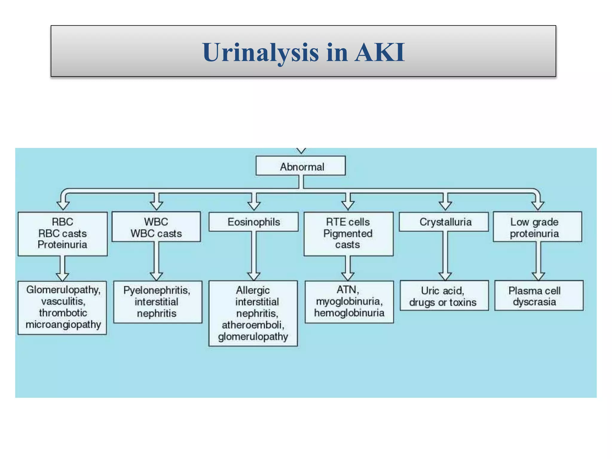 Acute kidney injury (aki) | PPTX