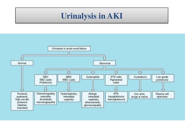 Acute kidney injury (aki)