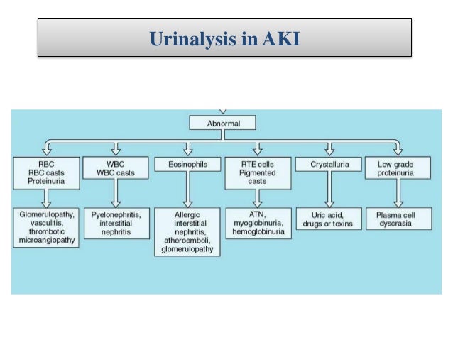 Acute kidney injury (aki)