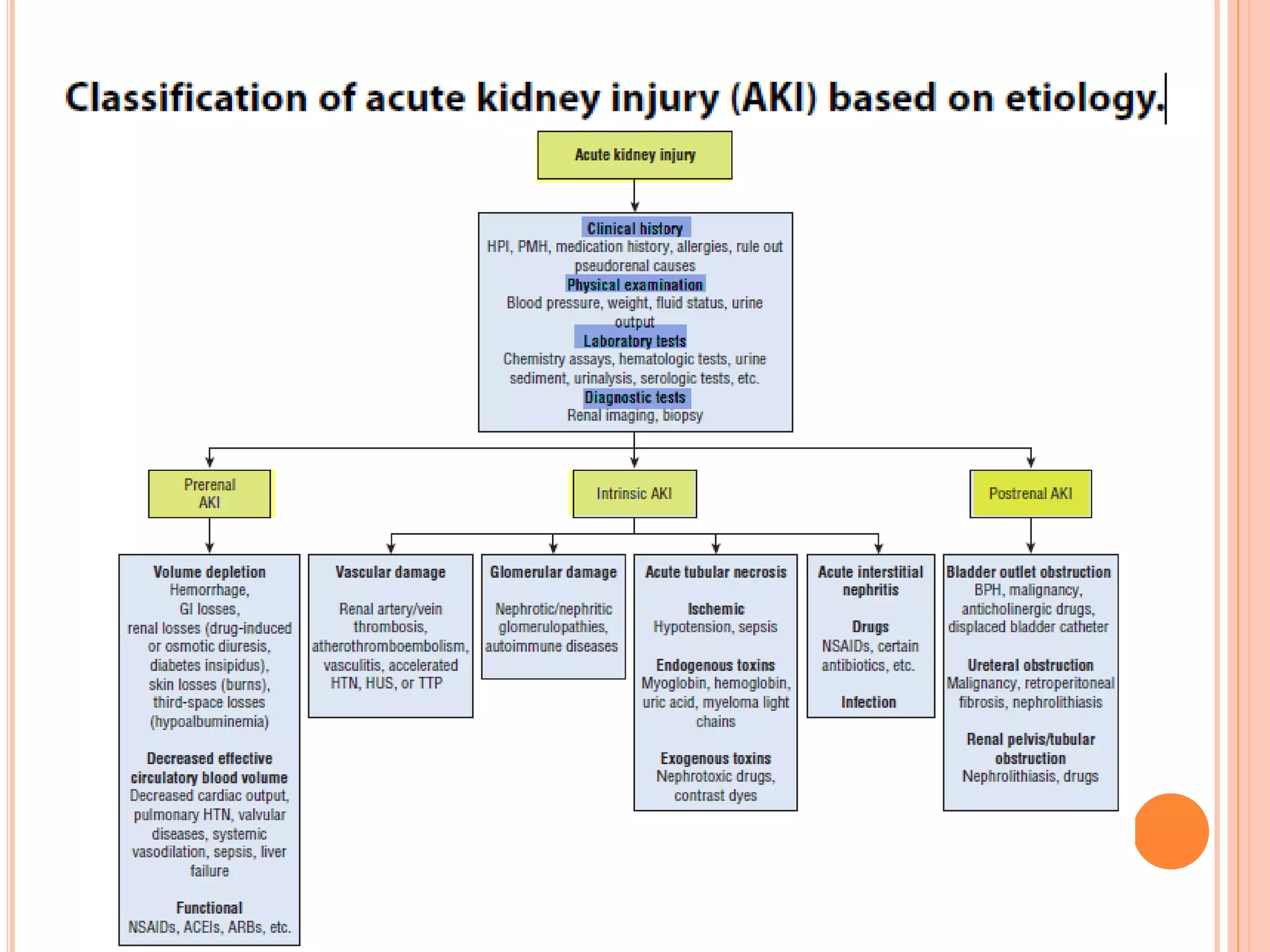 Acute kidney injury(AKI) | PDF