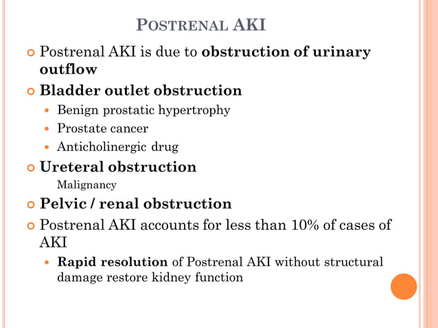 Acute kidney injury(AKI) | PDF | Lung and Respiratory Health | Diseases ...