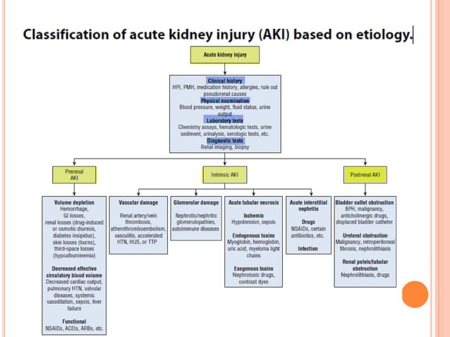 Acute kidney injury(AKI) | PPT