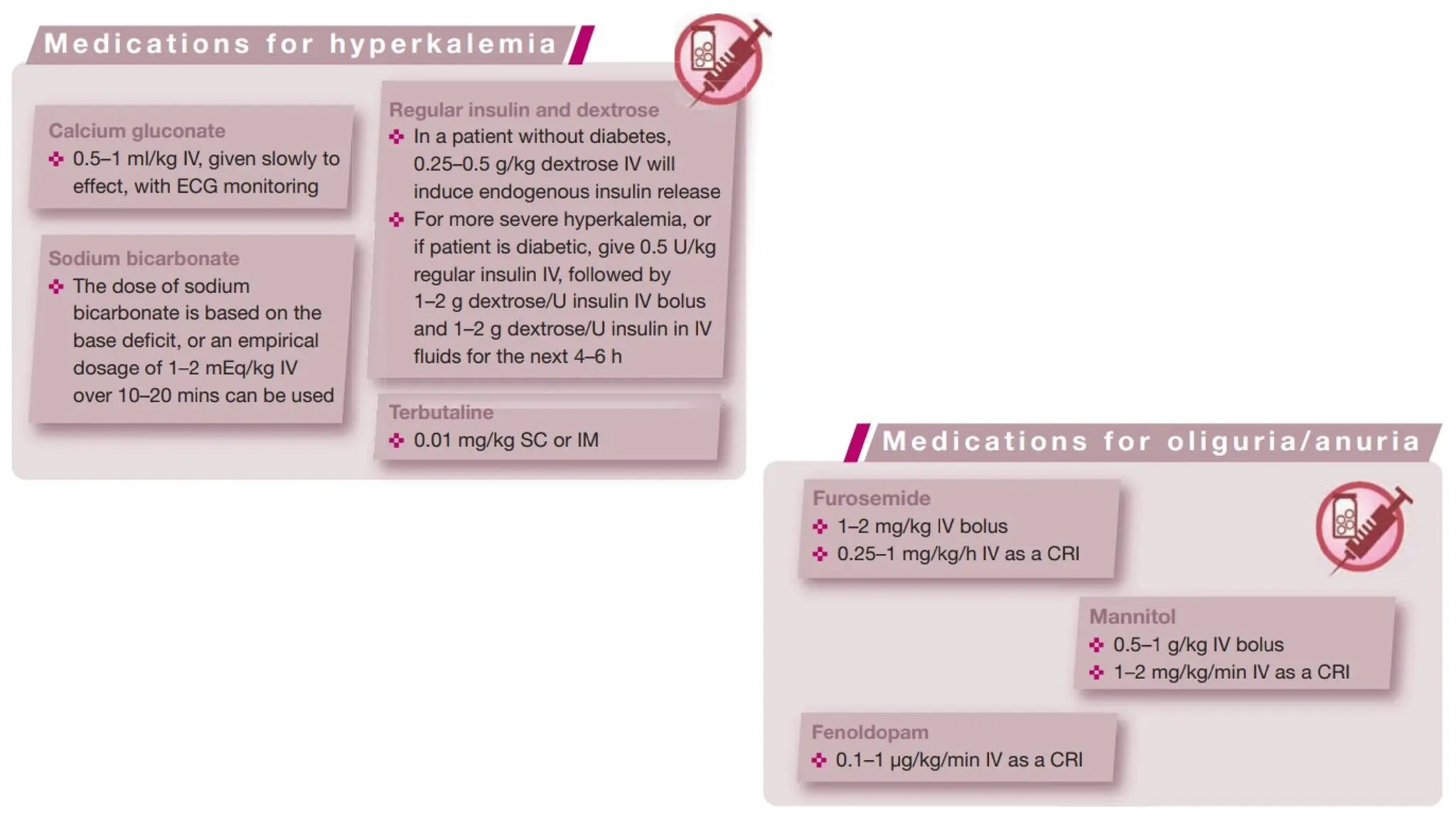 ACUTE KIDNEY INJURY (AKI) in cats and dogs.ppt