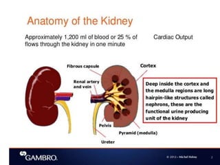 Acute kidney injury,aki 2 | PPTX