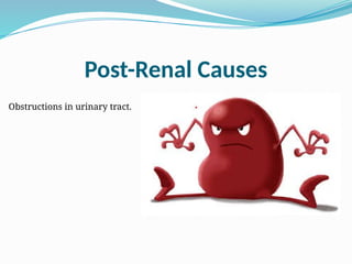 Acute Kidney Injury presentation for Kidney .pptx