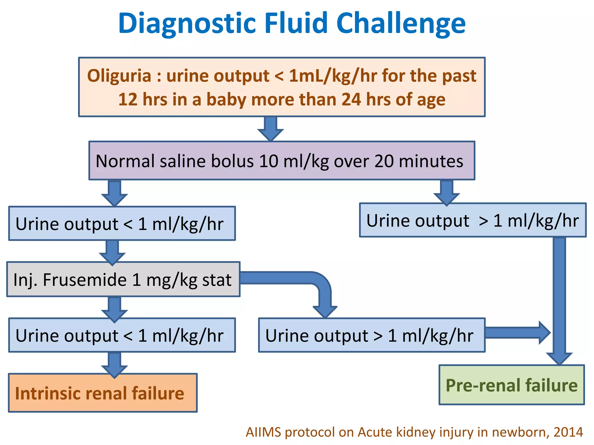 seminar on Acute kidney injury in newborn | PPTX