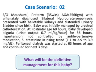 seminar on Acute kidney injury in newborn | PPTX