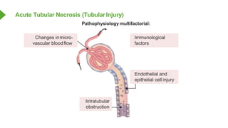 Acute Kidney injury nephrology.pptx