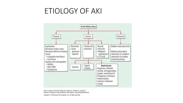 ACUTE KIDNEY INJURY (PATHOPHYSIOLOGY, DIAGNOSIS,.pptx