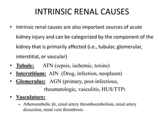 Acute kidney Injury today presenting dr. mohamed last 111111 (1).pptx
